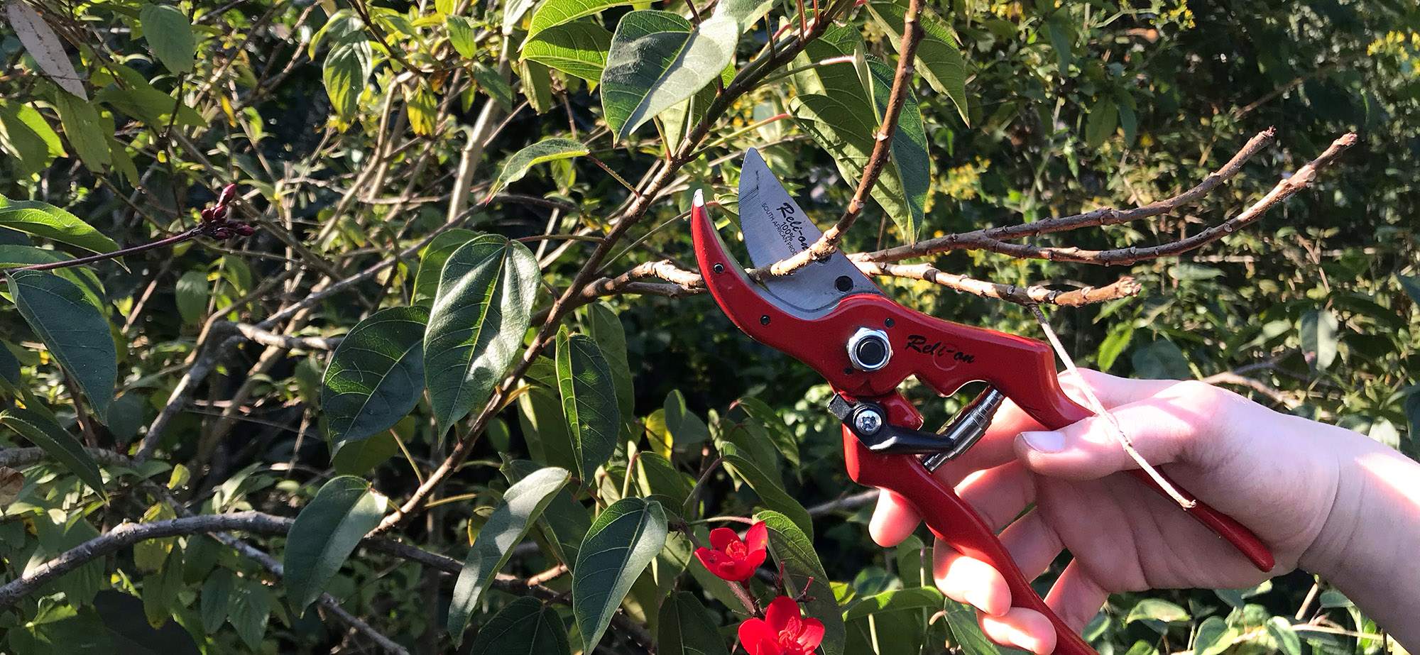 Schmidt Industries – Precision Tools and Die Cast